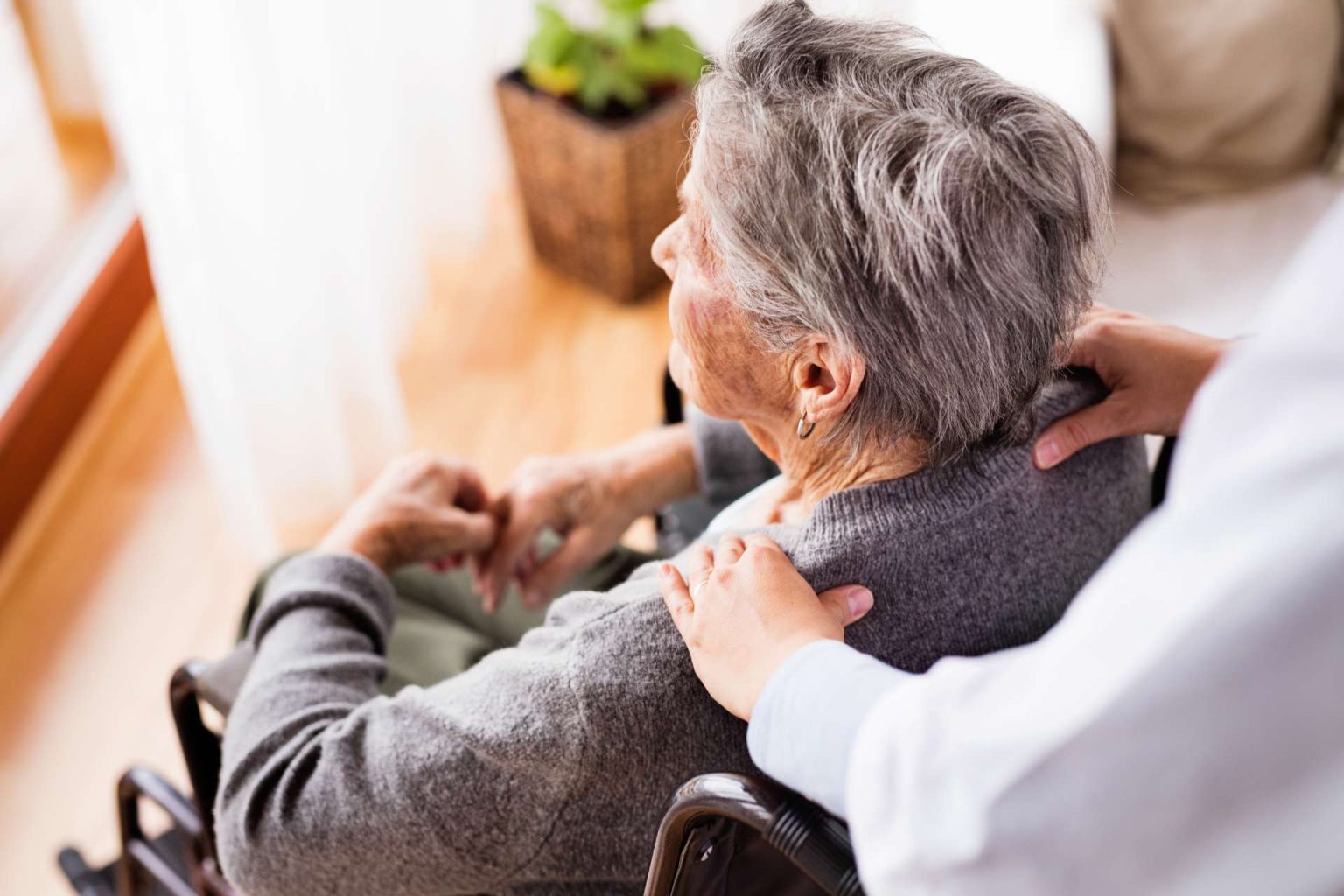 Domiciliary Care | Enfield, Haringey & Hackney | Loyal Care Consortium